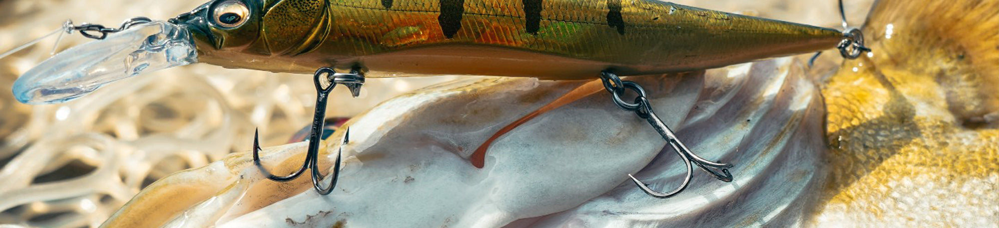 Winter Bites: Top Cold Water Bass Fishing Techniques to Reel in Result ...