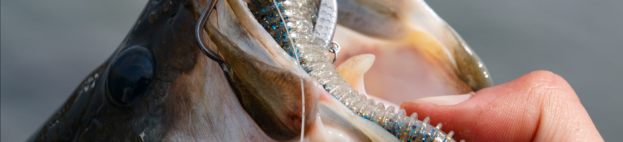 The Ultimate Guide to Fishing Paddle Tail Swimbaits for Bass — Discount ...