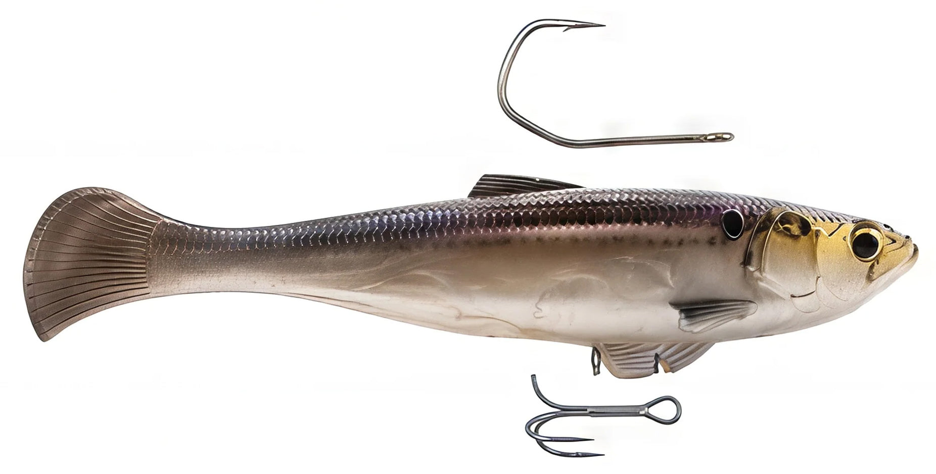 Z-Man Swag LT Swimbait - 6 Inch — Discount Tackle
