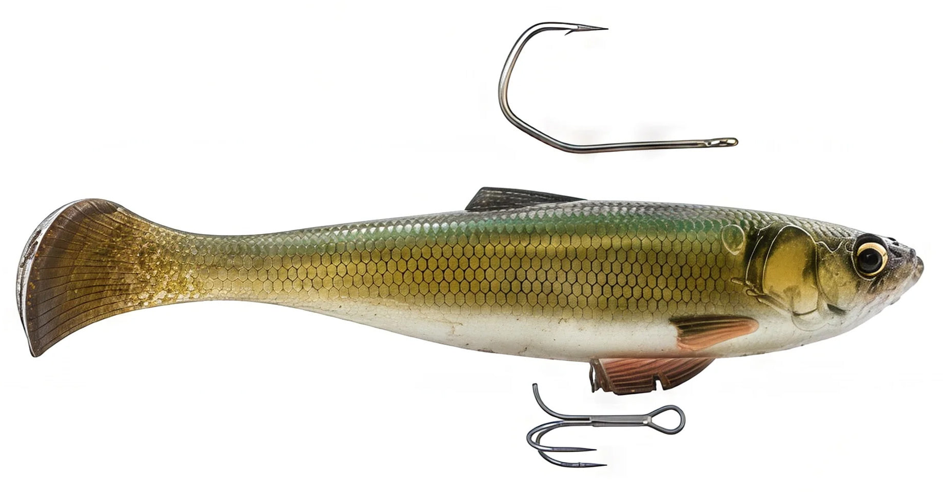 Z-Man Swag LT Swimbait - 6 Inch — Discount Tackle