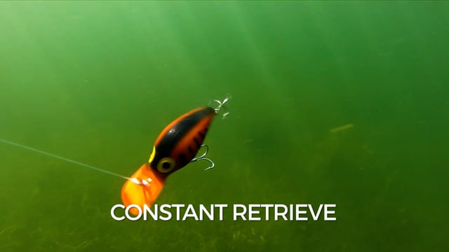 Storm Original Wiggle Wart Crankbaits — Discount Tackle