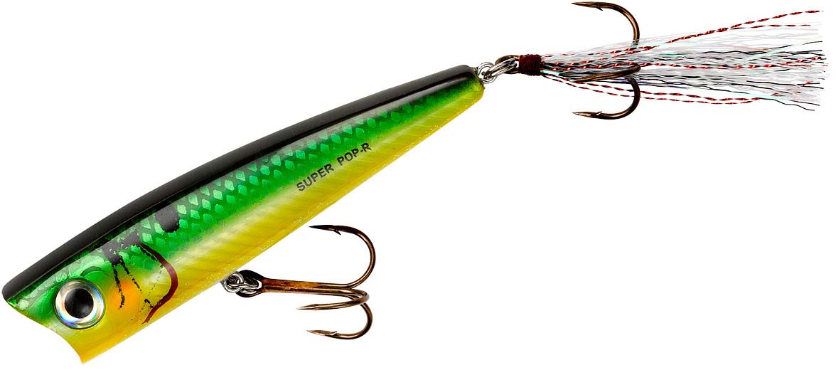 Rebel Super Pop-R 3 1/8 inch Topwater Popper — Discount Tackle