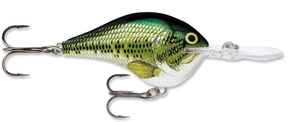 Rapala DT Series Crankbait DT10 Bass Fishing Lure — Discount Tackle